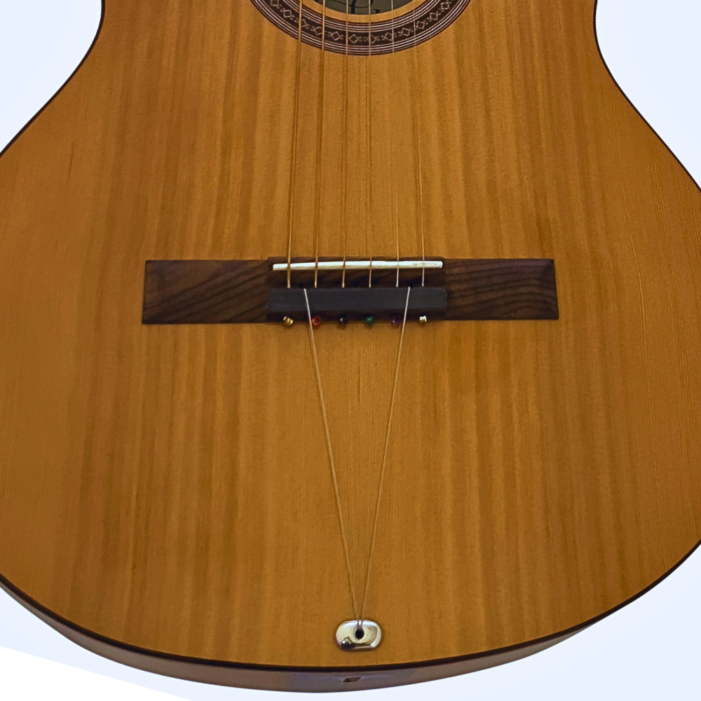 Get answers to Turbo Guitar, TurboTail, & Free The Soundboard's FAQs